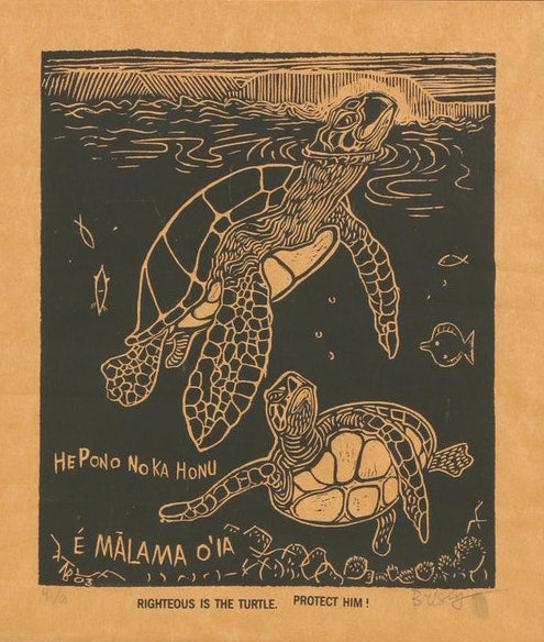 Righteous is the Honu limited edition print – Tomas Belsky Originals ...